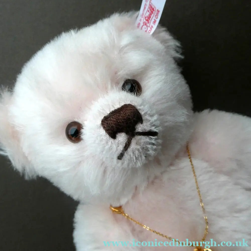 STEIFF LIMITED EDITION Pink Teddy Bear 2007. BRITISH COLLECTORS CLUB ...