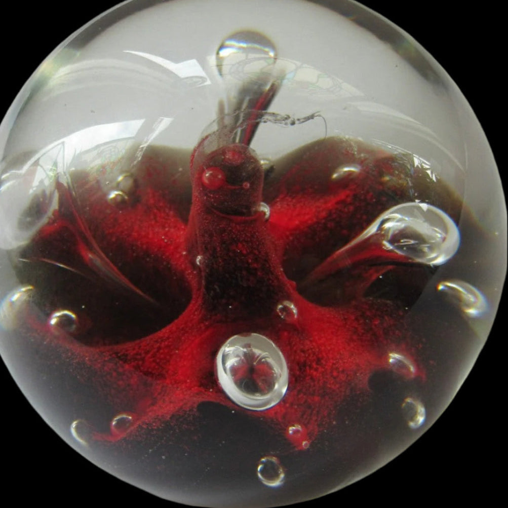 SCOTTISH PAPERWEIGHT: Vintage Caithness Paperweight: MOONFLOWER by Col ...