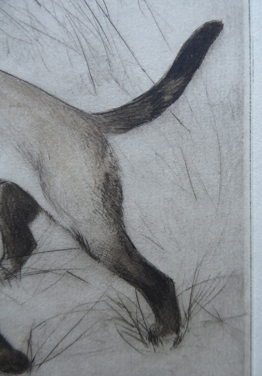 George Vernon Stokes (1873 - 1954). Vintage Etching of Two Siamese Cat ...