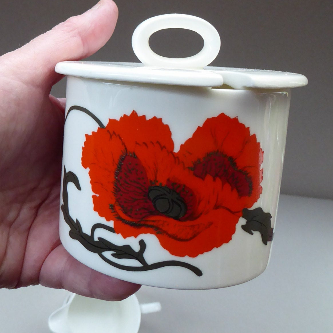 SUSIE COOPER for WEDGWOOD. 1971 Cornpoppy Design. Stylish Floral Bone ...