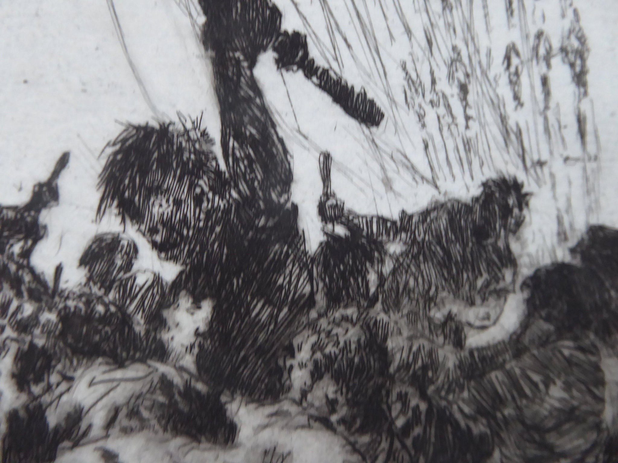 MARINE ART. Arthur Briscoe (1873 - 1943). Etching entitled: The Fight ...
