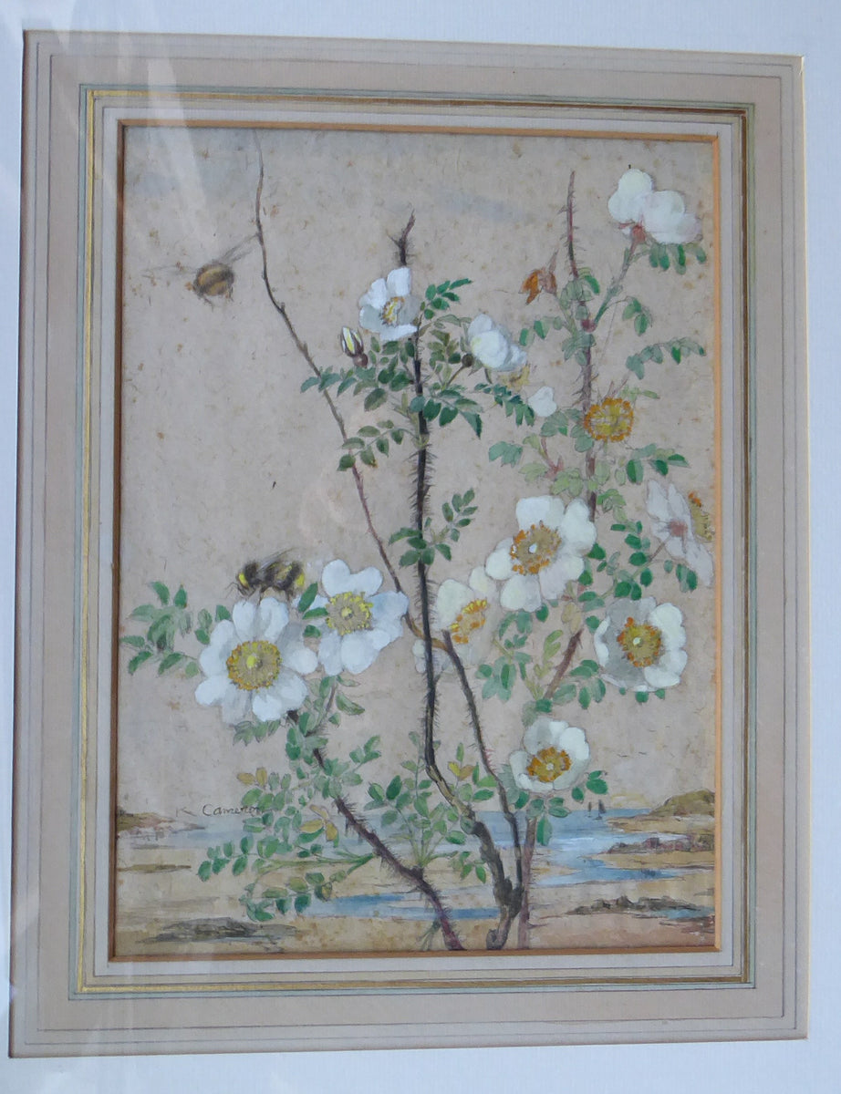 SCOTTISH ART: Kate Cameron (1874- 1965). Beautiful Original Watercolou ...
