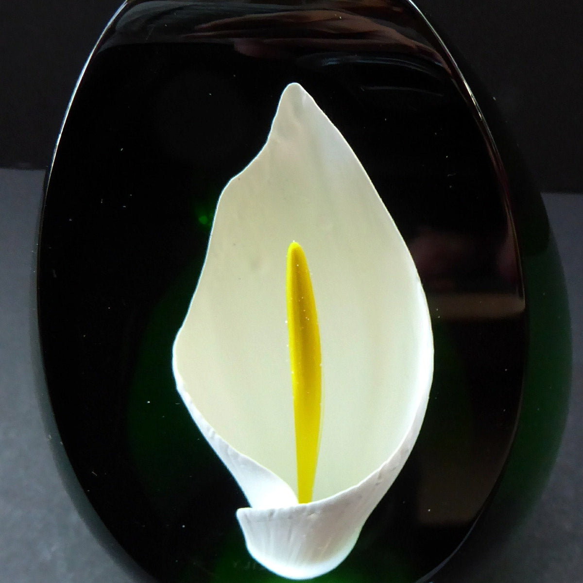 Fabulous LIMITED EDITION Scottish Caithness Glass Paperweight: Calla L ...